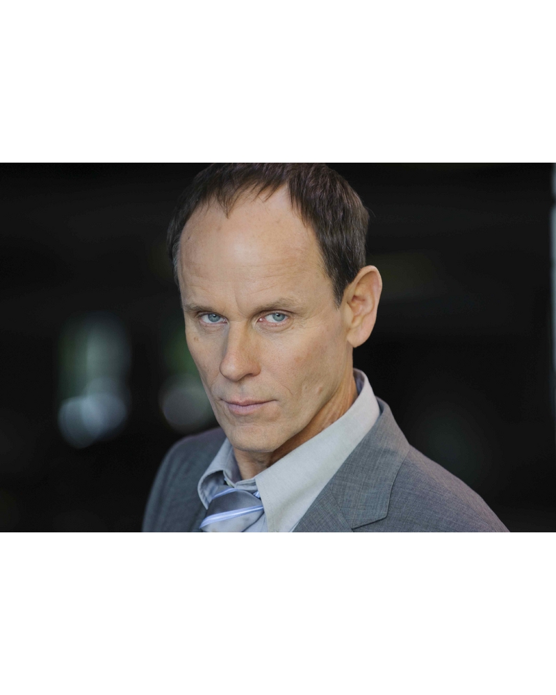 Headshots:
